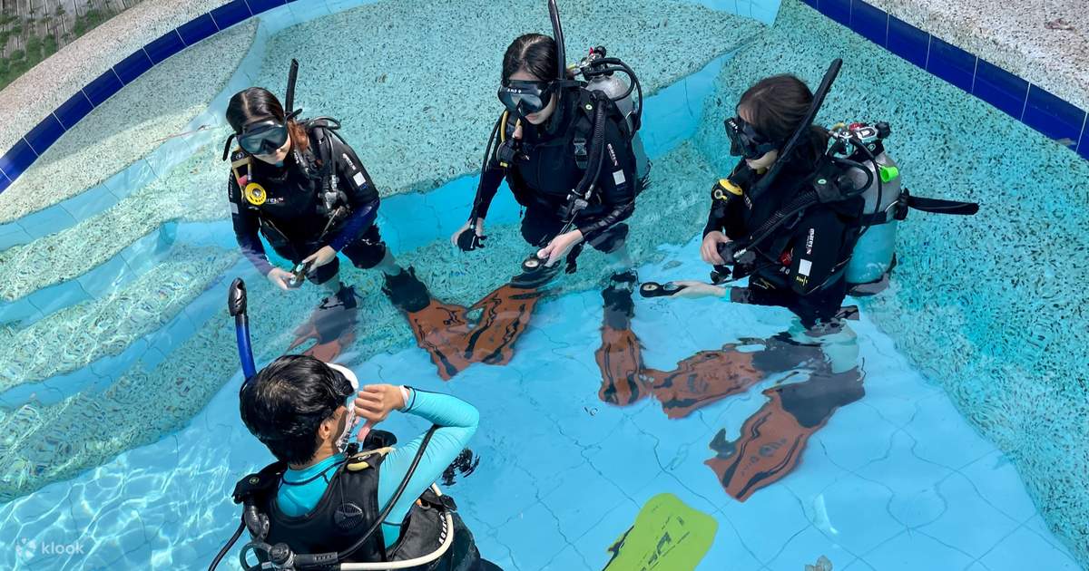 體驗海洋:padi 在 Padi 5 星級 Idc 度假村探索薄荷島水肺潛水 Klook香港